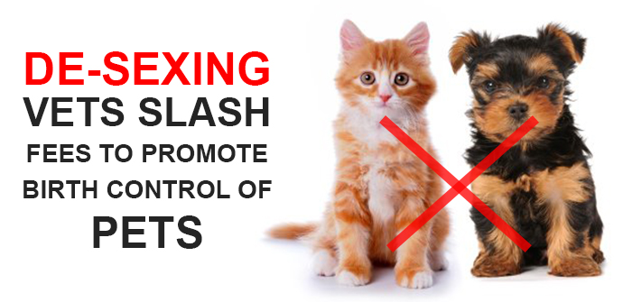 De-sexing-Fees-Promote-Birth-Control-of-Pets | VetSupply Blog