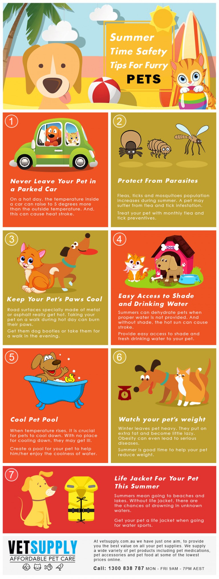 Pet Safety Tips to Follow This Summer | VetSupply