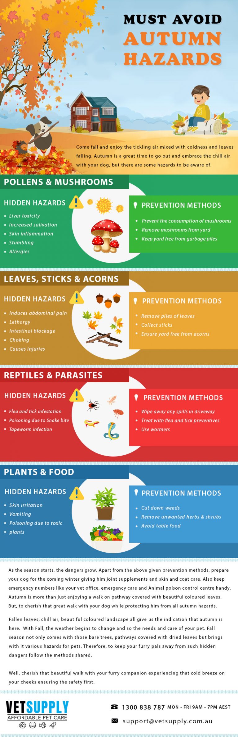 Autumn Hazards And Its Prevention Methods | Vetsupply