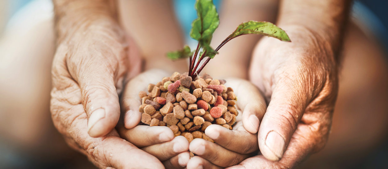What Is A Sustainable Pet Food? | VetSupply