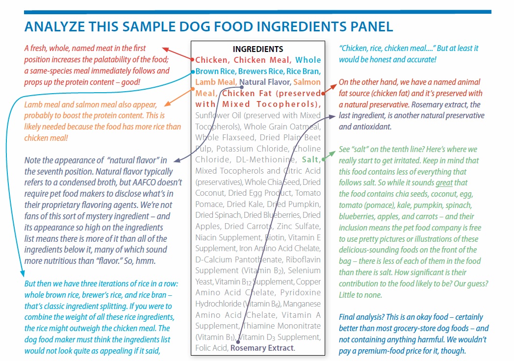 How To Find The Best Food For Your Dog?| VetSupply