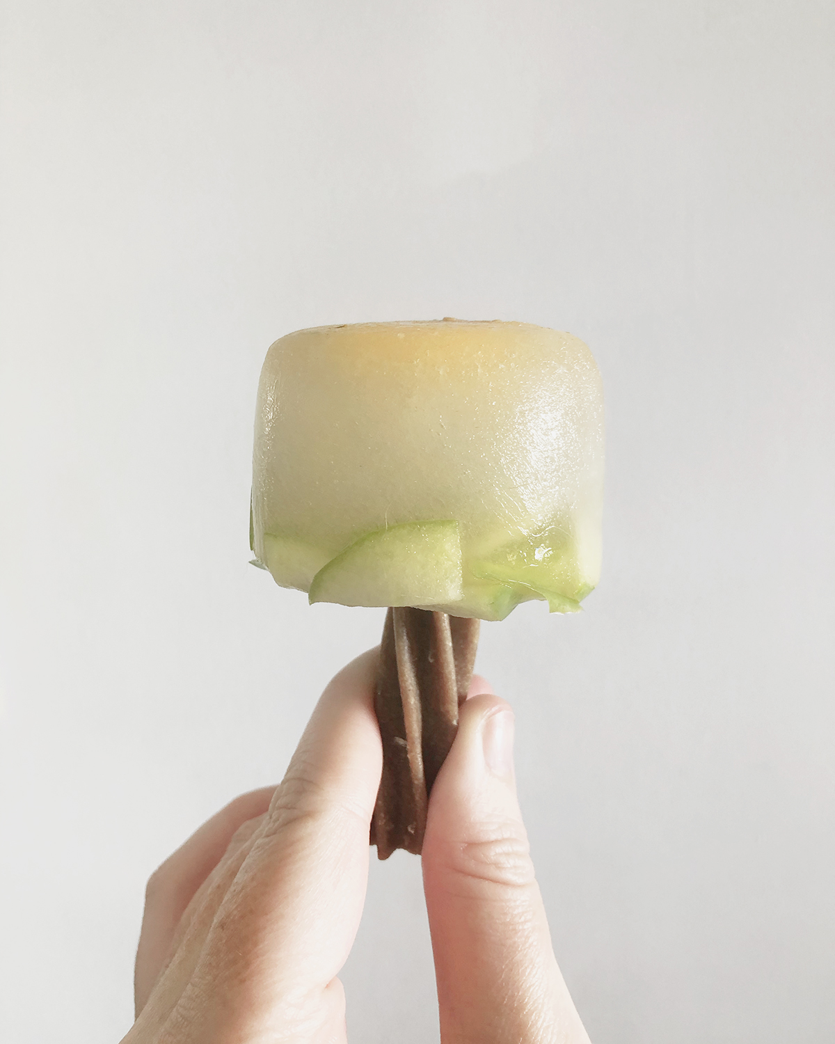 Summer Foods for Dogs | Summer Treats for Dogs