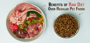 Benefits of BARF or RAW diet over regular Pet foods