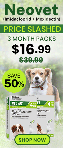 Nexgard Spectra Dogs Flea, Tick, Worm Control | Free Shipping ...