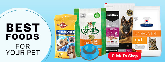 Buy Pet Supplies, Pet Foods & Toys Online at VetSupply.