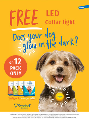 Sentinel Spectrum for Dogs: Buy Sentinel Heartworm Prevention