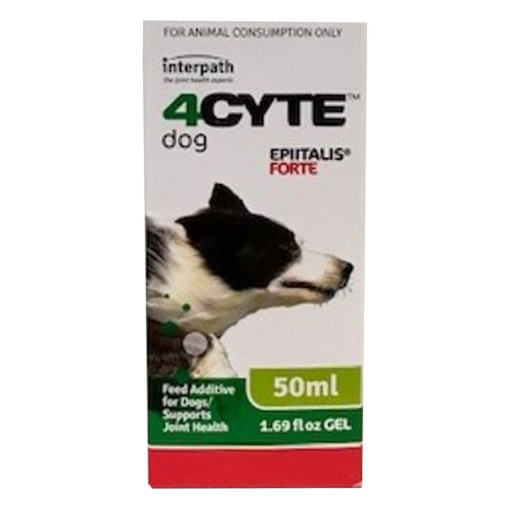 4CYTE Epiitalis Forte Gel for Dog