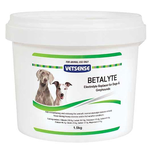 Buy VetSense Betalyte Powder for Dogs and Greyhounds Online