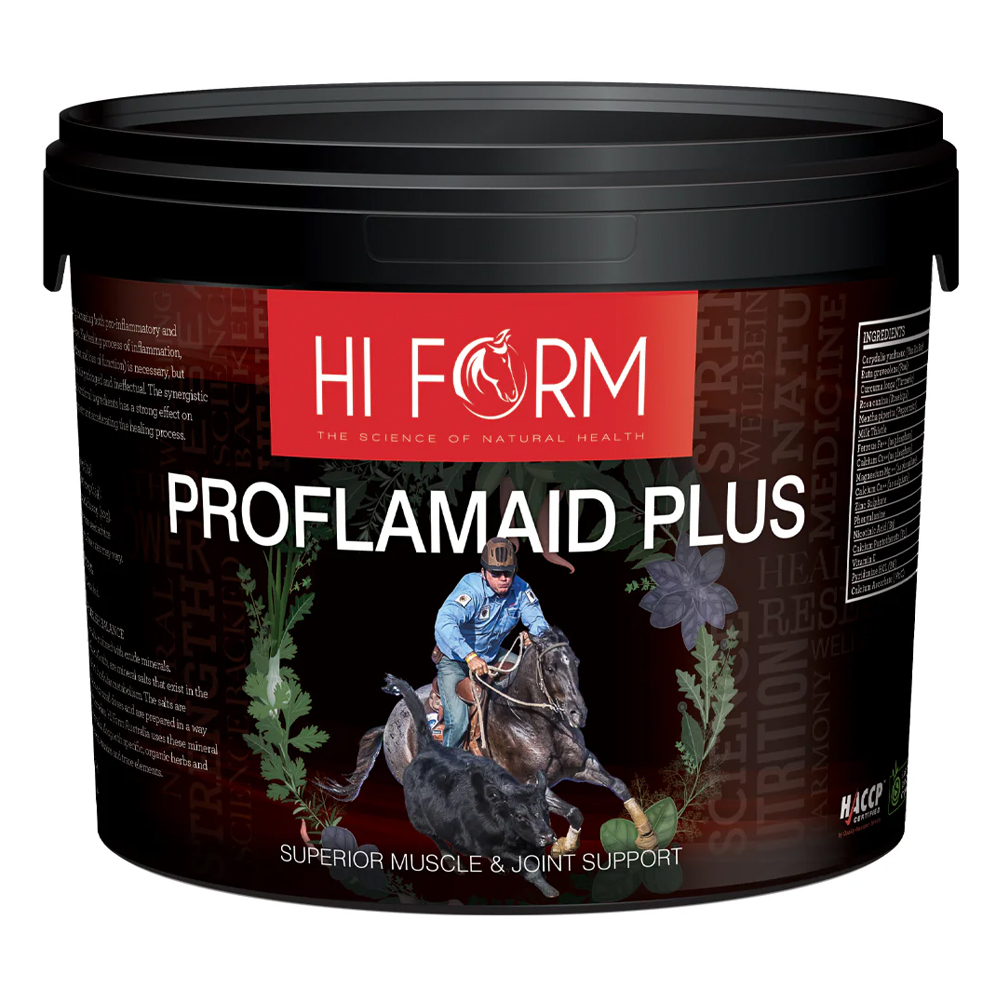 Buy Hi Form ProflamAid Plus Superior Muscle and Joint Support for Horse ...