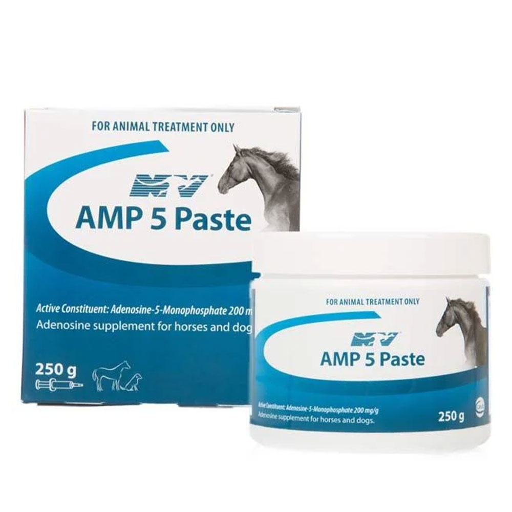 Buy Ceva NV AMP 5 Paste Supplement for Horses and Dogs Online