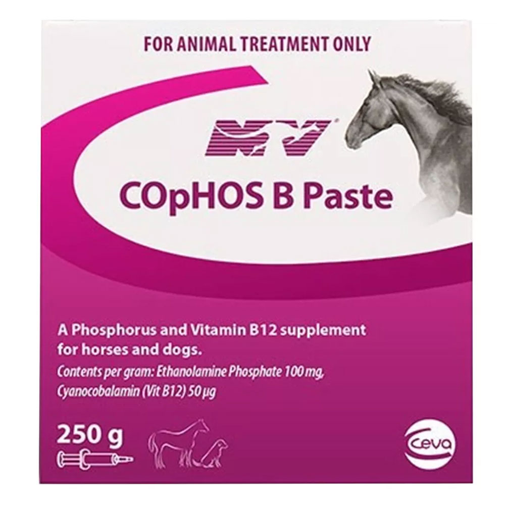 Buy Ceva NV COpHOS B Paste Vitamin B12 Supplement for Horses and Dogs ...