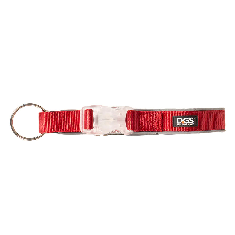 Buy DGS Comet LED Safety Collar (Red) Medium - 2cm x 41 - 51cm Online