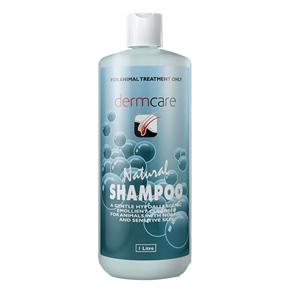 Buy Dermcare Natural Shampoo 1 Litre Online