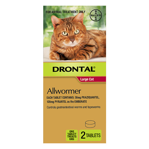 Buy Drontal Wormers For Large Cats 6Kg 2 Tablet Online