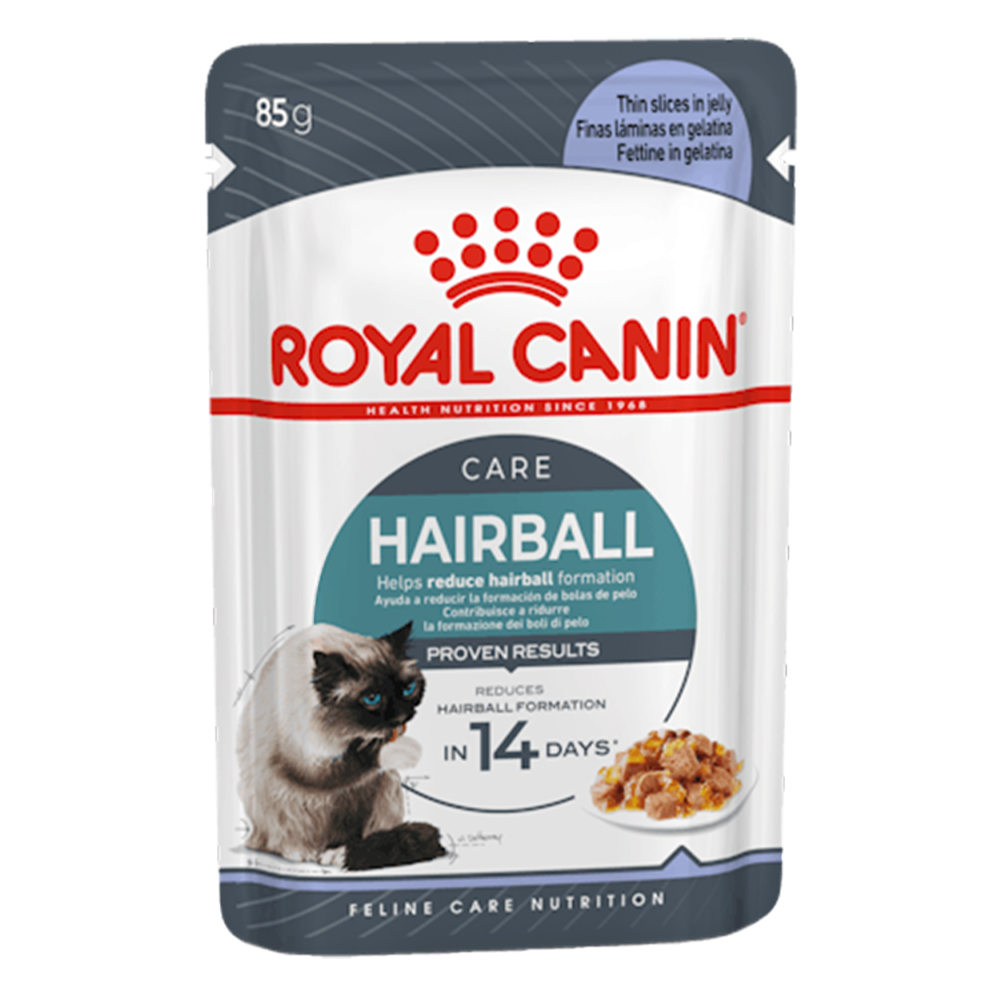 Buy Royal Canin Hairball Care In Jelly Adult Pouches Wet Cat Food 85 ...