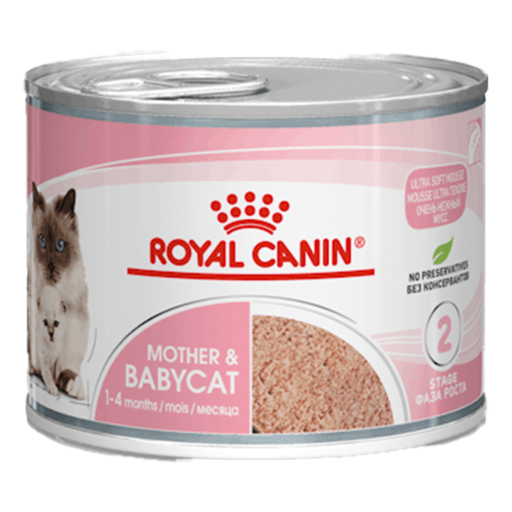 Royal Canin Mother & Babycat Wet Cat Food - VetSupply