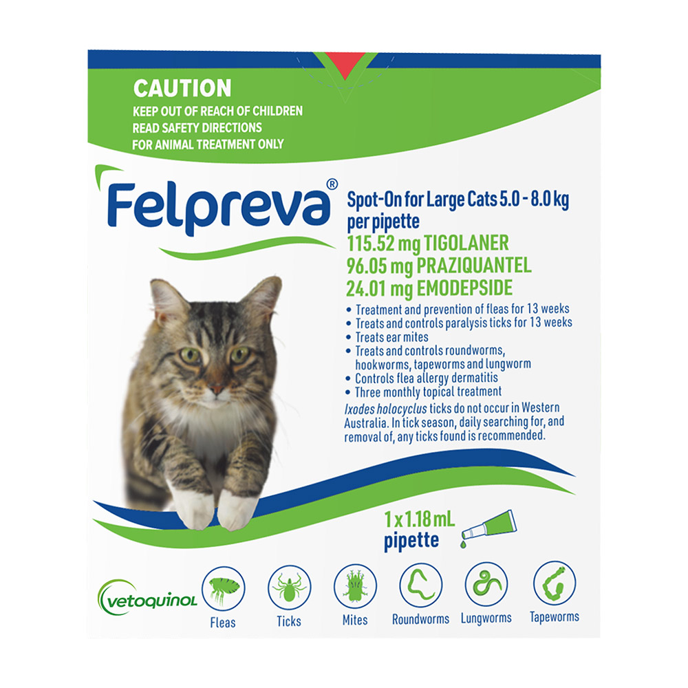 Buy Felpreva Spot-On for Large Cats 5 to 8kg Online