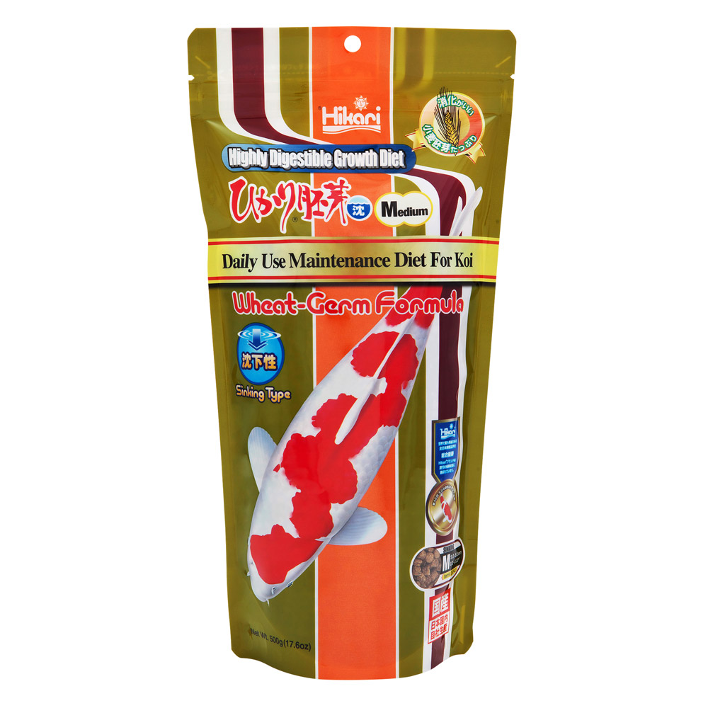 Buy Hikari Wheat-Germ Formula Sinking Daily Maintenance Koi Fish Food ...