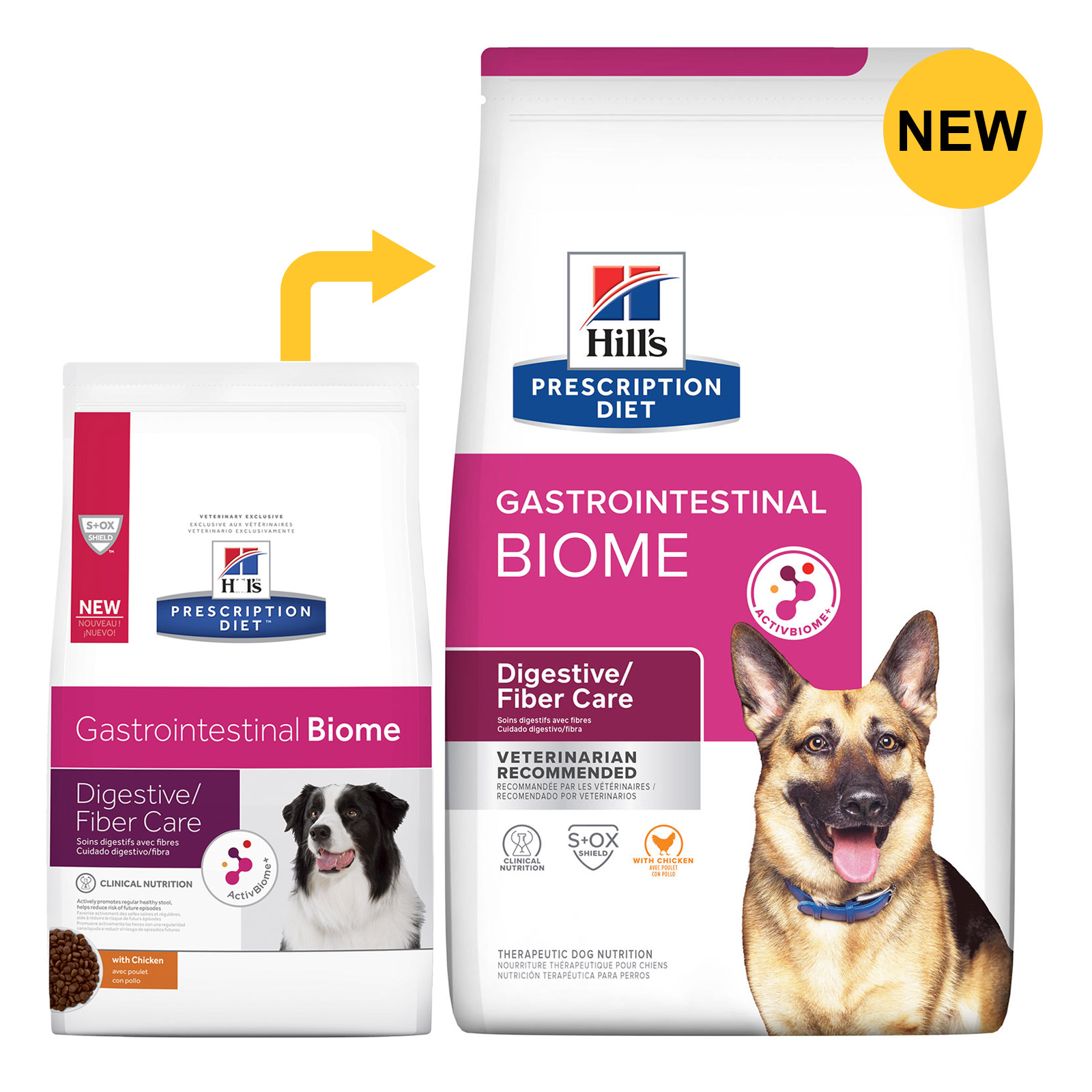 Buy Hill's Prescription Diet Gastrointestinal Biome Dry Dog Food Online