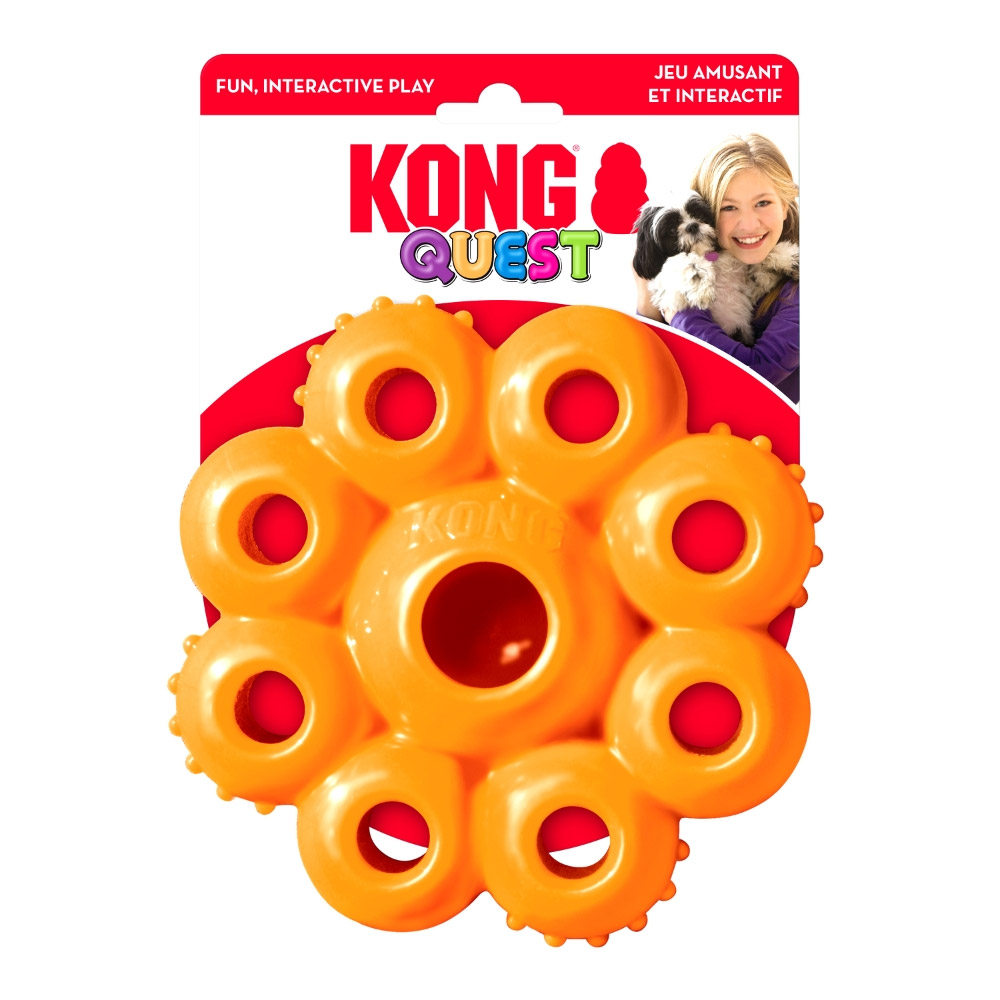 Buy KONG Quest Treat Dispensing Toy for Dogs - Star Pods Online