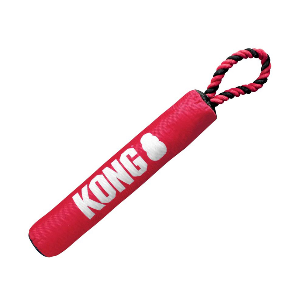 Buy KONG Signature Crinkle Squeaker Fetch Toy for Dogs - Stick with ...