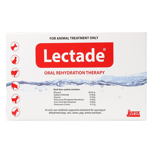 Buy Lectade Oral Rehydration Therapy 64 Gms Online