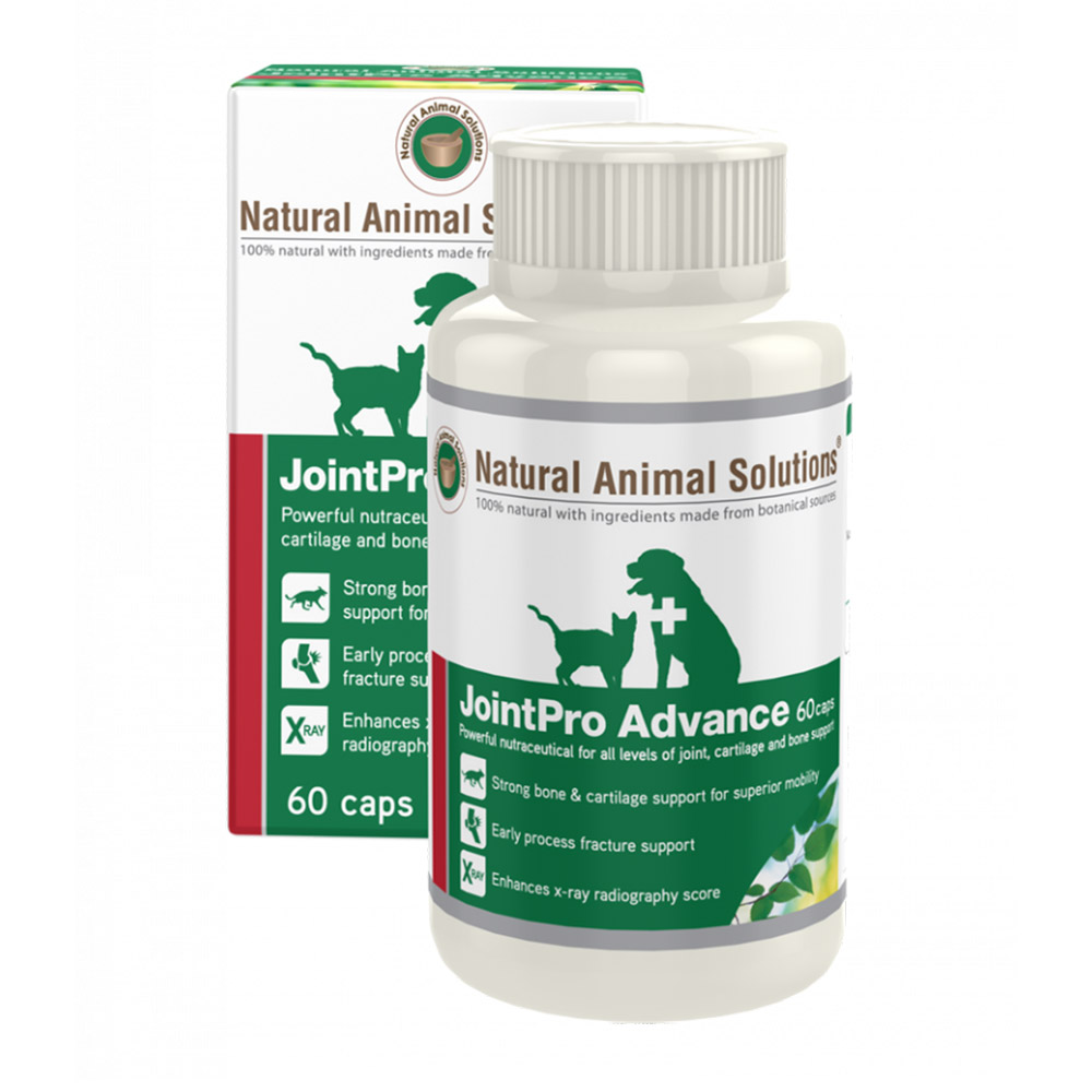Buy Natural Animal Solution JointPro Advance Cap's 60 Capsule Online