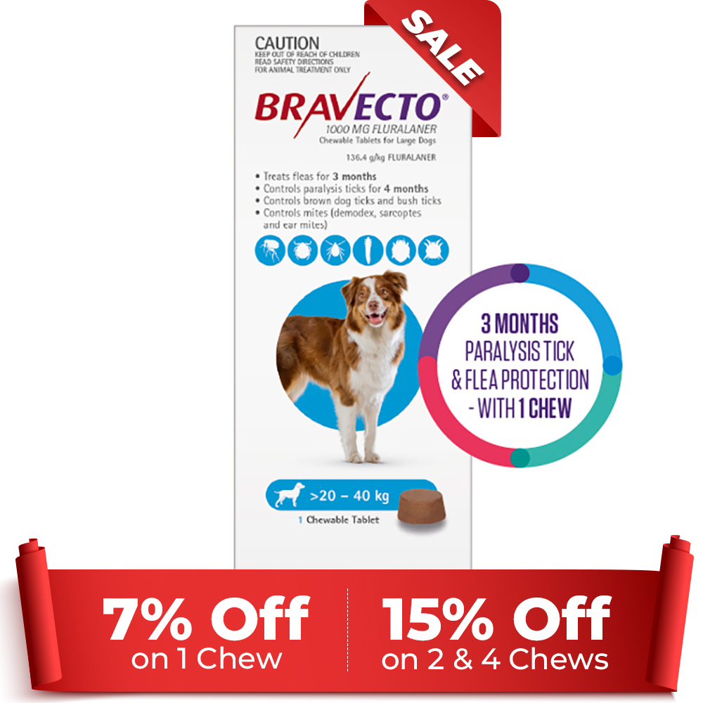 Buy Bravecto For Large Dogs 20-40kg (Blue) 1 Chew Online