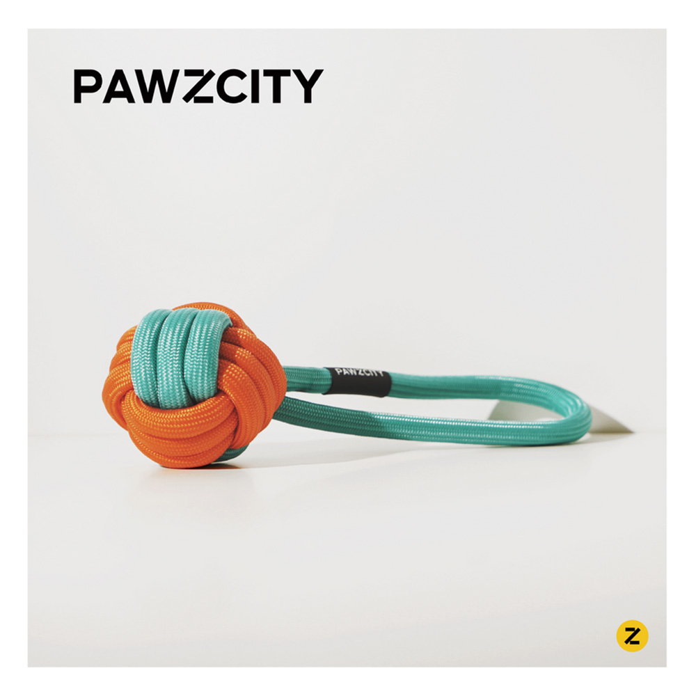Buy Pawzcity Interactive Rope Ball With Loop - Rockmelon Online