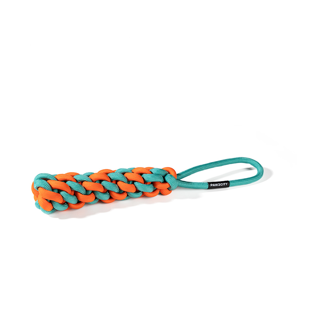 Buy Pawzcity Interactive Rope Stick With Loop - Rockmelon Online