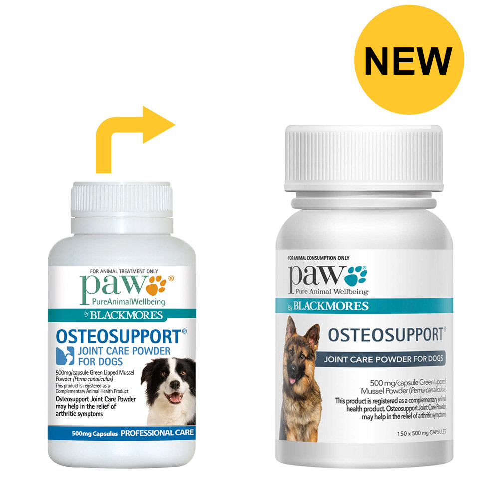 Buy Paw Osteosupport Joint Care Powder For Dogs Online