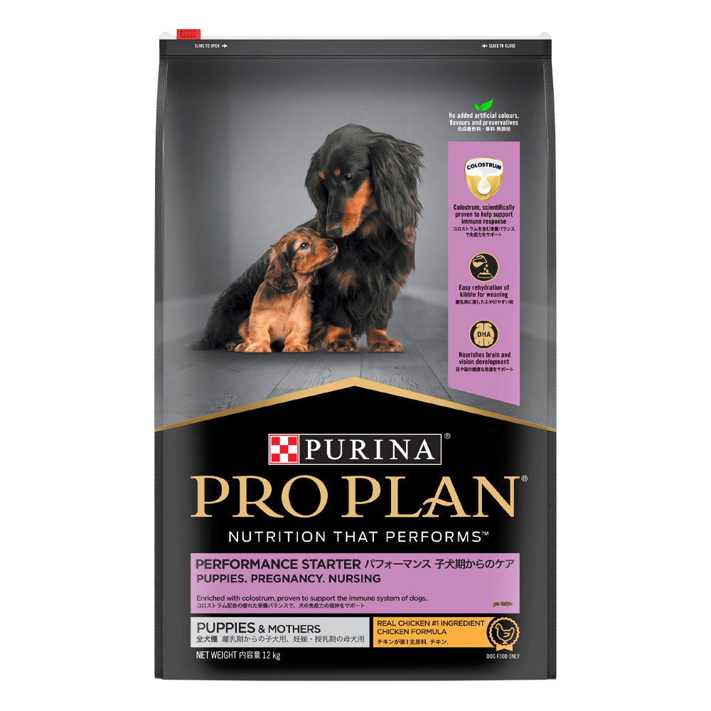 Buy PRO PLAN Performance Starter Puppies & Mothers Chicken Dry Dog Food ...