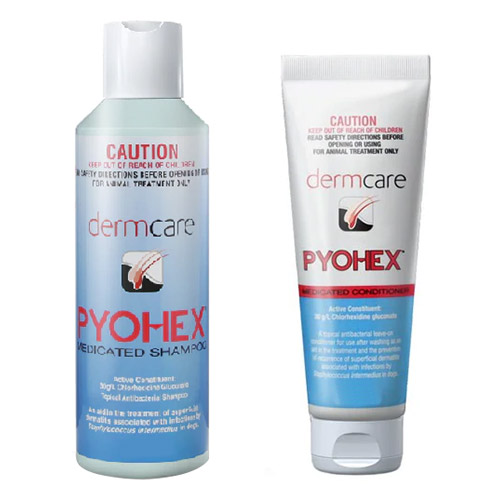 Buy Dermcare Pyohex Combo Pack - 250ml Pyohex Shampoo + 200ml Pyohex ...