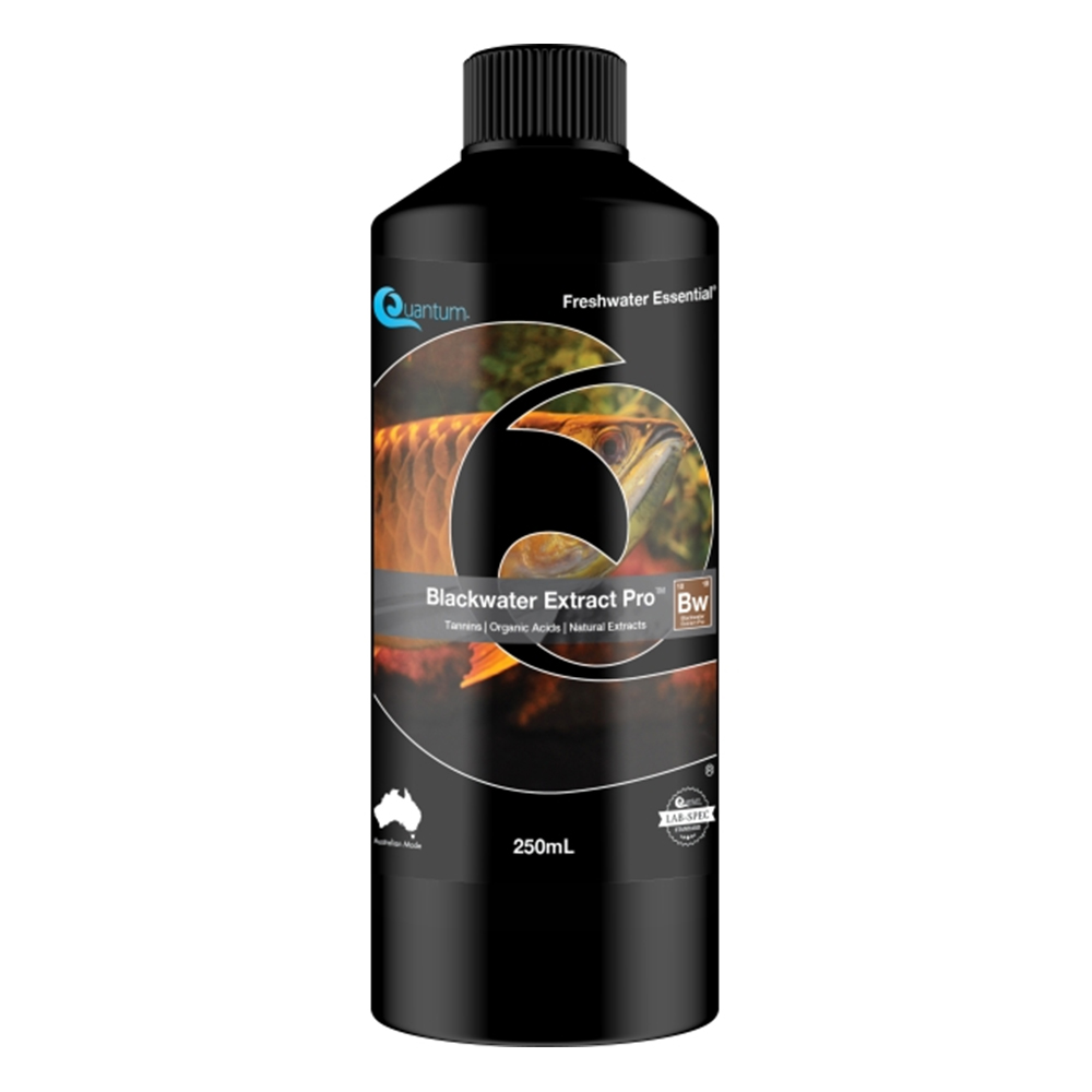 Buy Quantum Blackwater Extract Pro Online