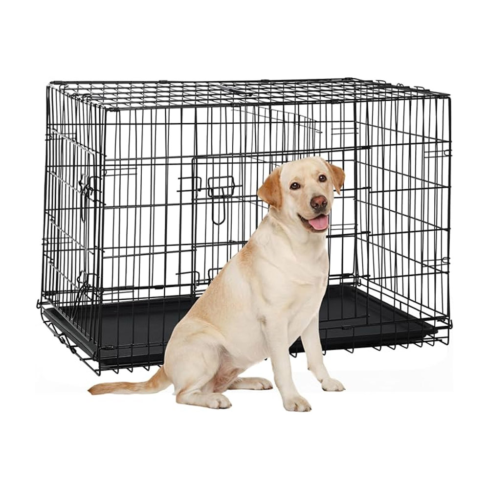 Royale Collapsible Dog Crate In Different Sizes | VetSupply