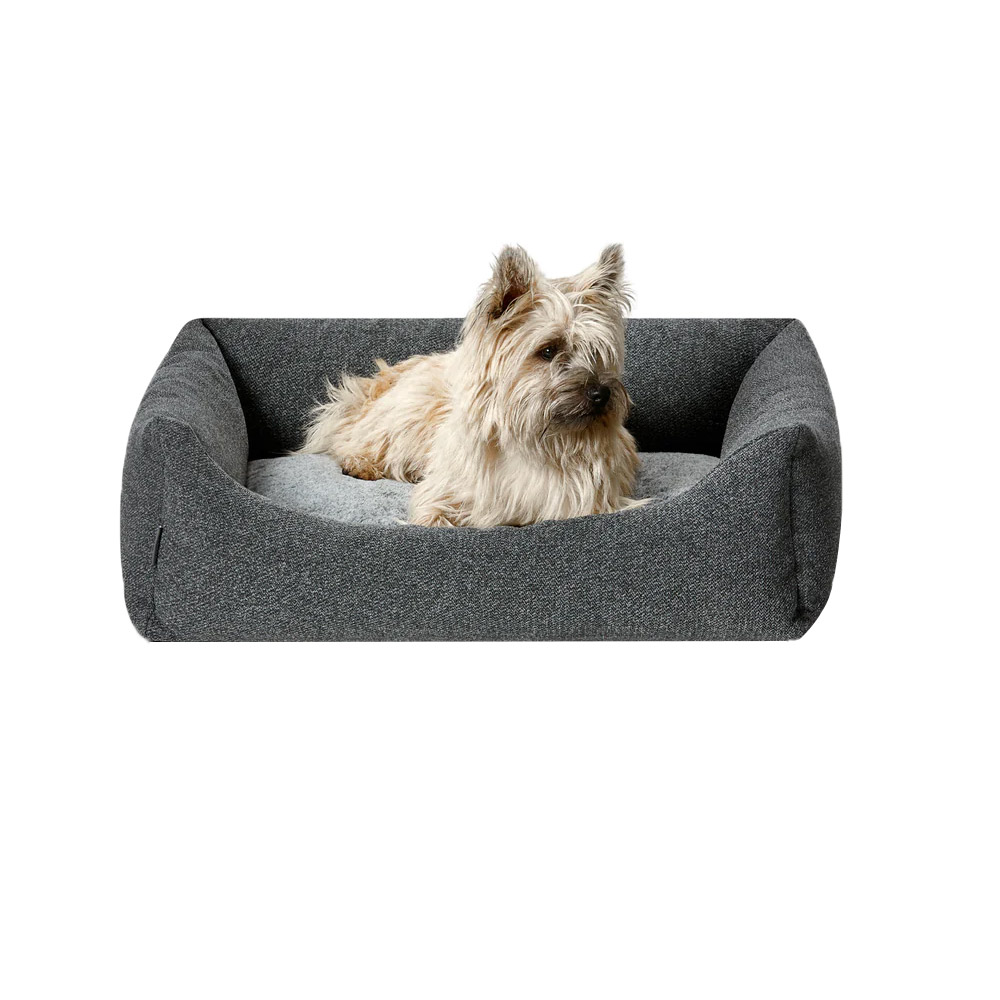 Buy Snooza Low Front Lounger for Dogs Online