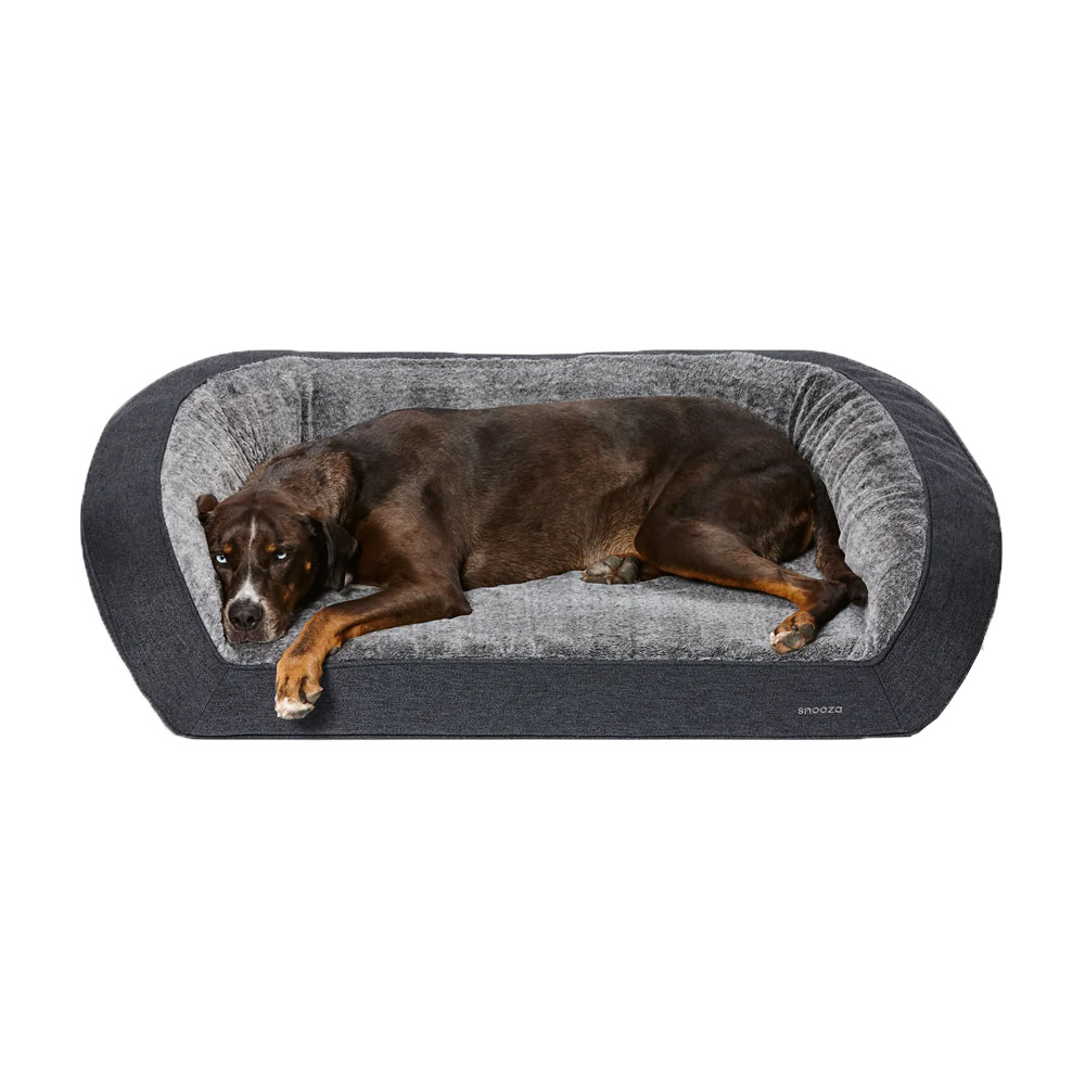 Buy Snooza Ortho Sofa for Dogs Online