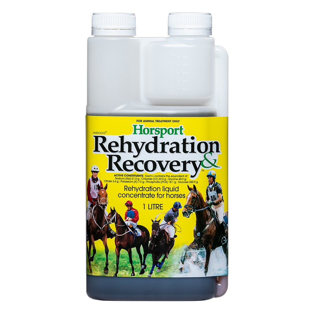 Buy IAH Horsport Rehydration & Recovery for Horse Online