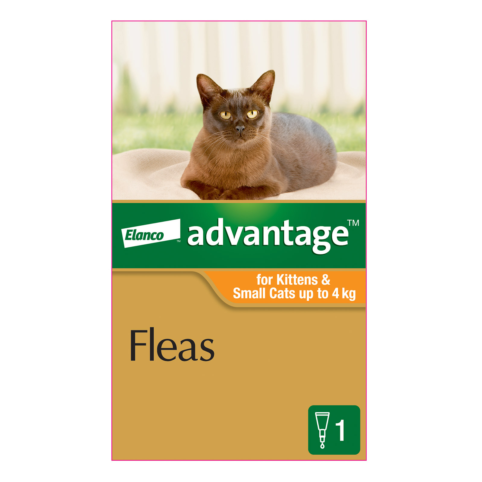 Buy Advantage For Kittens & Small Cats Up To 4Kg (Orange) 1 Dose Online