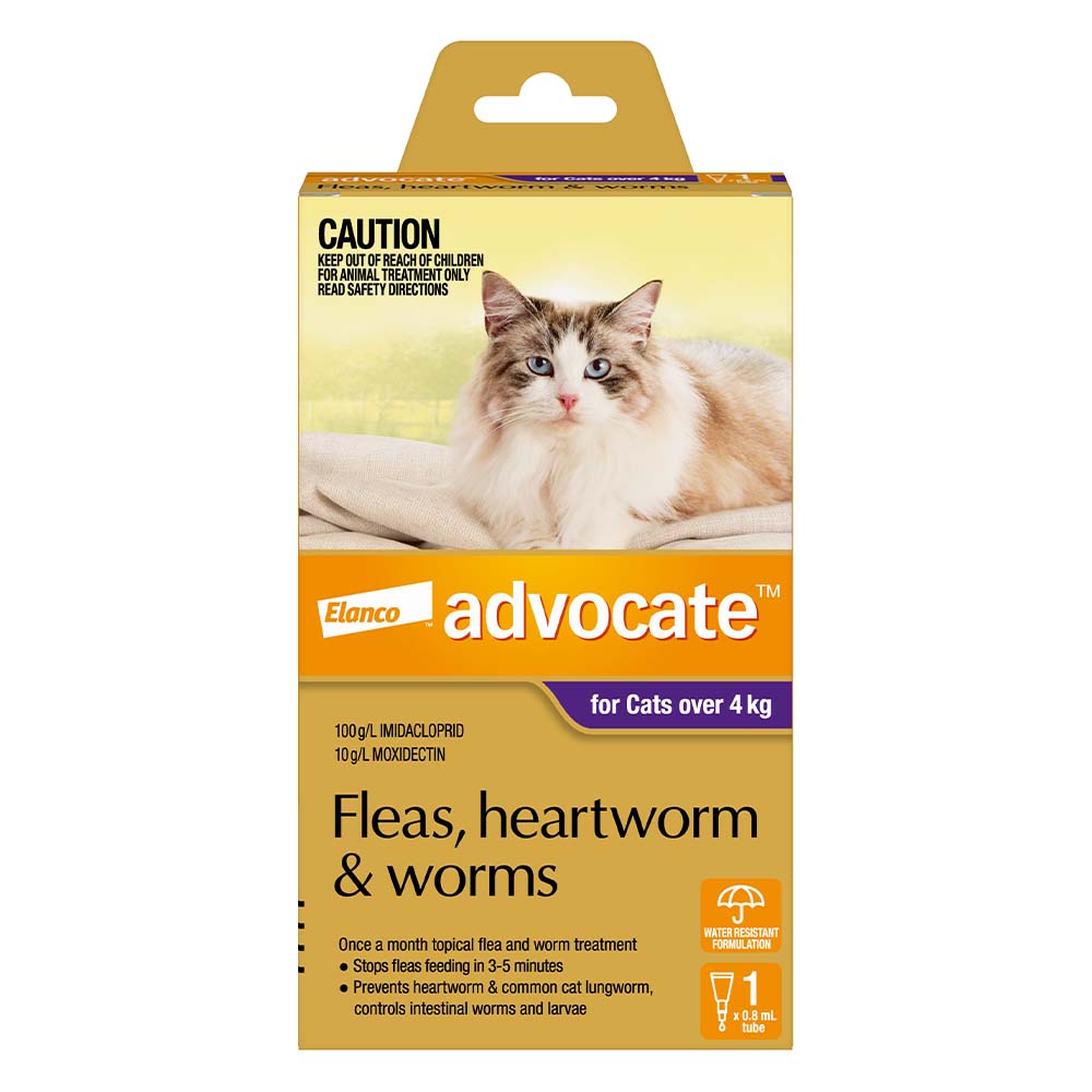 Buy Advocate Purple For Cats Over 4Kg 1 Dose Online