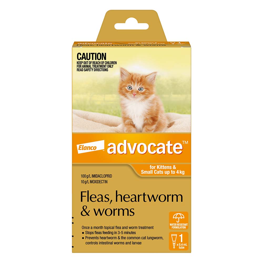 Advocate for Cats - Flea, Heartworm & Parasite Treatment