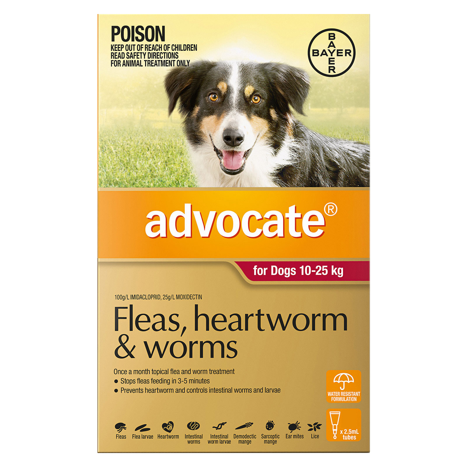 Buy Advocate for Dogs Small Green Up To 4kg 1 Dose Online