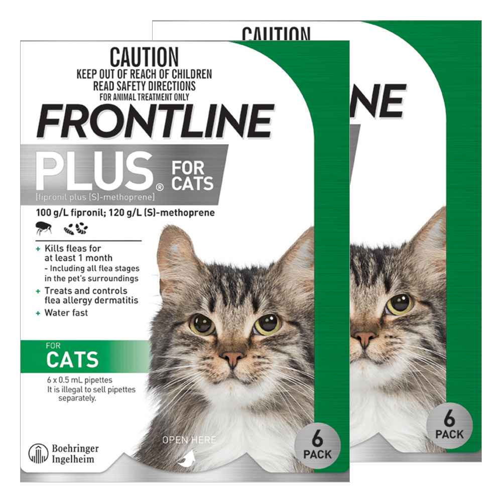 Buy Frontline Plus For Cats 12 Pipettes Online