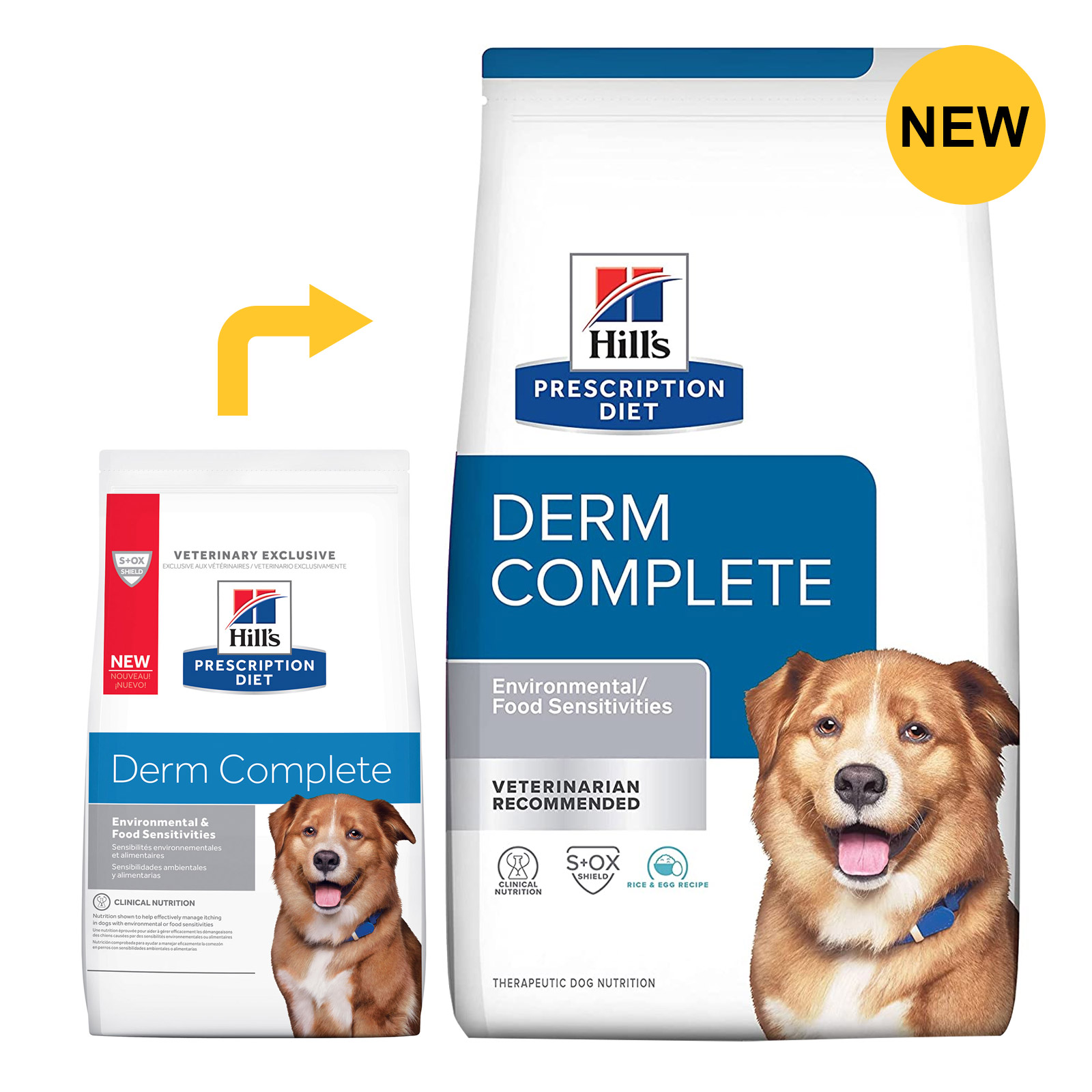 Buy Hill's Prescription Diet Derm Complete Dry Dog Food 2.9 kg Online