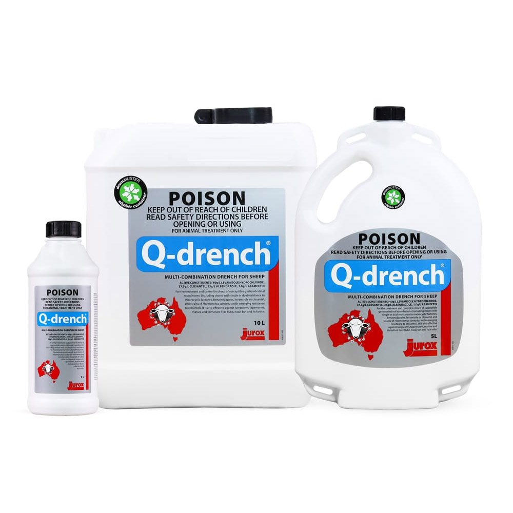 Buy Q-drench for Sheep Online