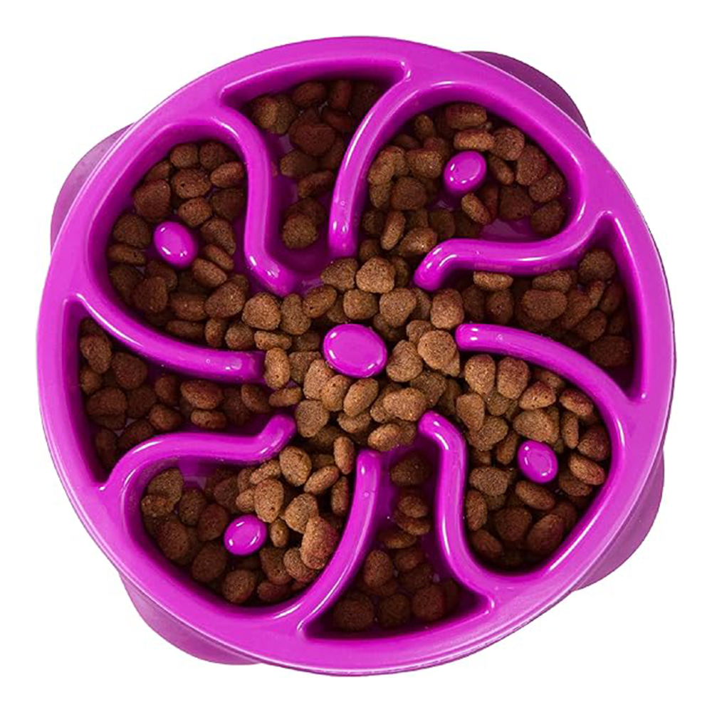 Buy Outward Hound Fun Feeder Slo Bowl for Dogs - Purple Online