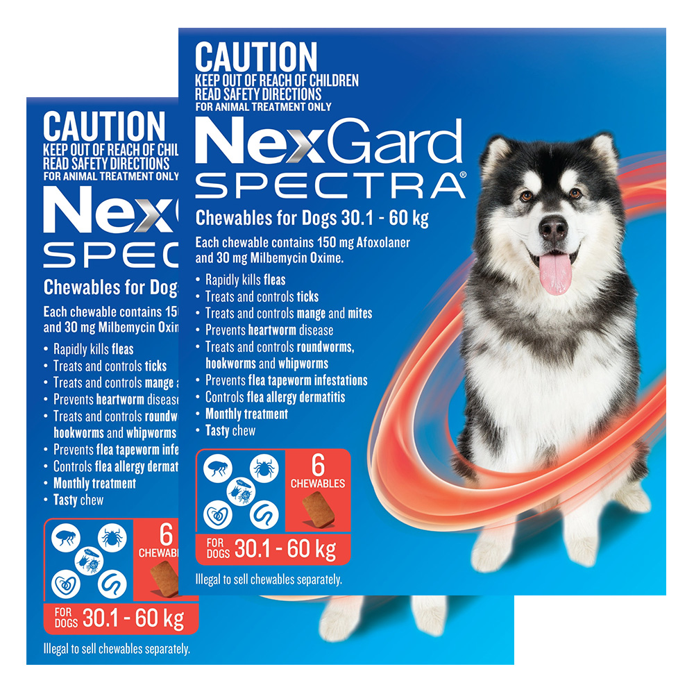 Buy Nexgard Spectra Extra Large Dogs (30.1 - 60kg) Red 12 Pack Online