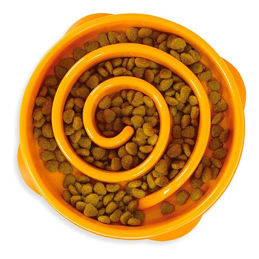 Buy Outward Hound Fun Feeder Slo Bowl for Dogs - Orange Online