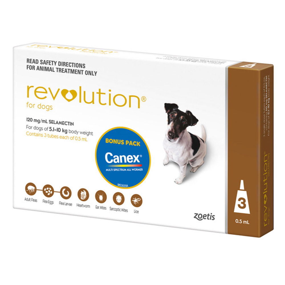 Buy Revolution (Selamectin) For Small Dogs 5.1 To 10Kg (Brown) 3 Pack ...